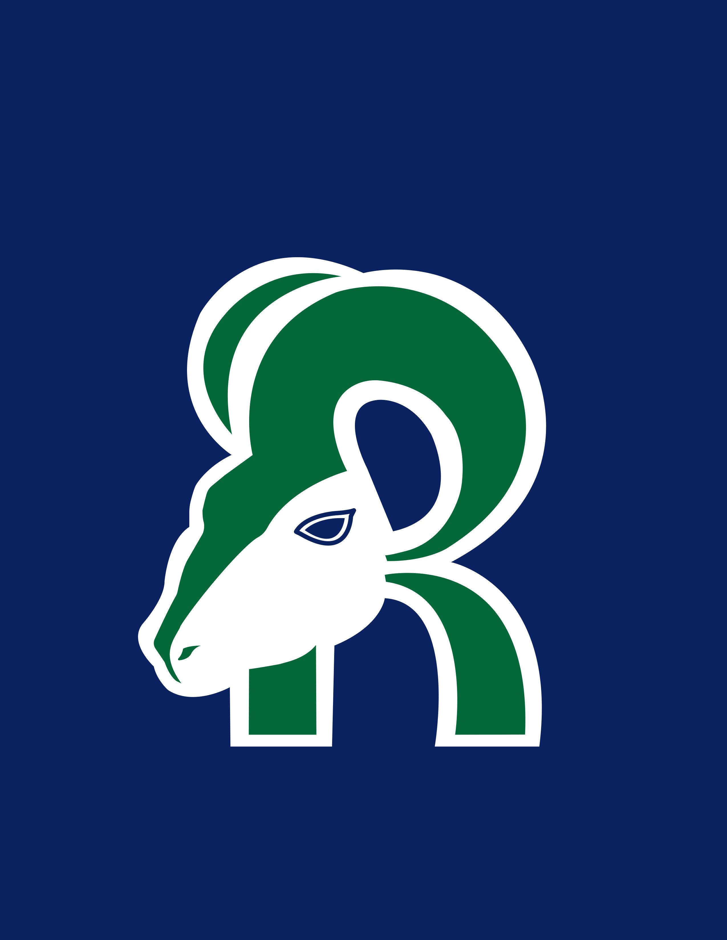 Rams Hockey Logo by Maci Mursko at Coroflot.com