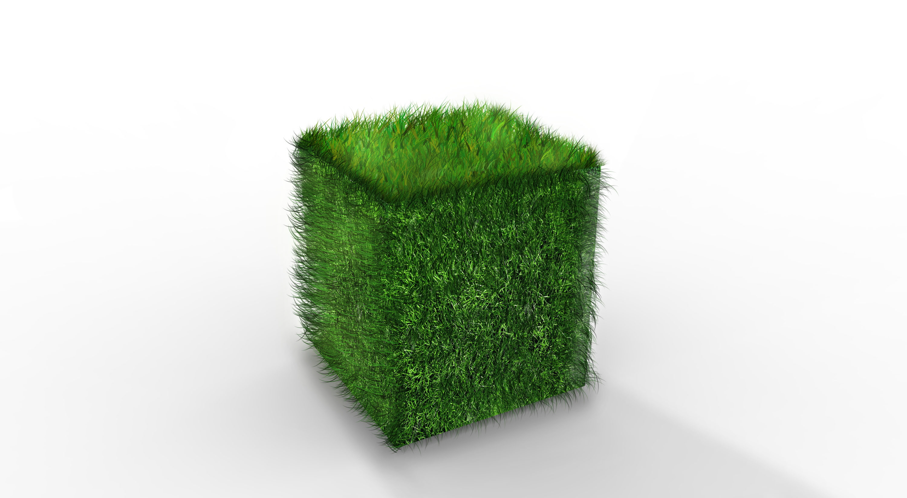 Grass Cubes by Fredy Gomez at Coroflot.com