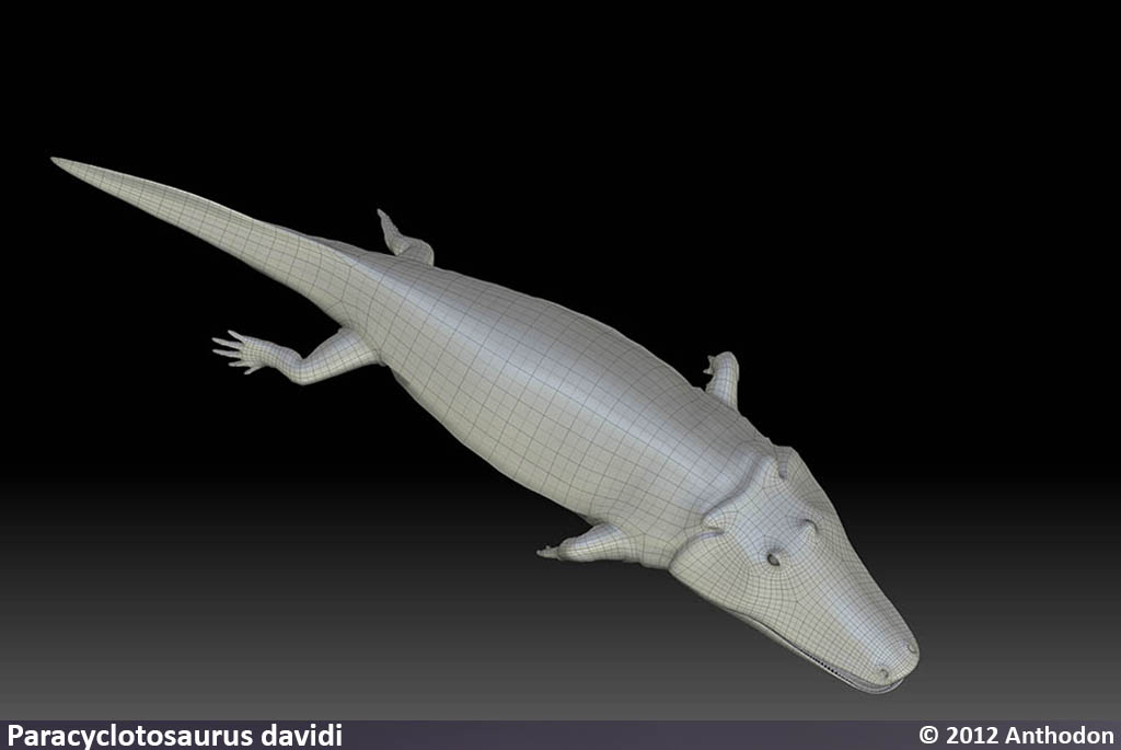 Paracyclotosaurus davidi. by Vladislav Egorov at Coroflot.com