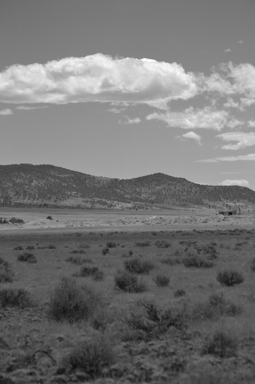 The Golden State by T-Bone Photography at Coroflot.com