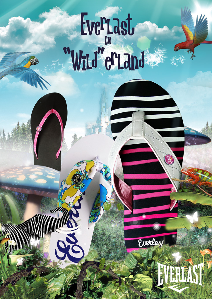 Everlast Brand & Product Launching Campaign by Kevin S at Coroflot.com