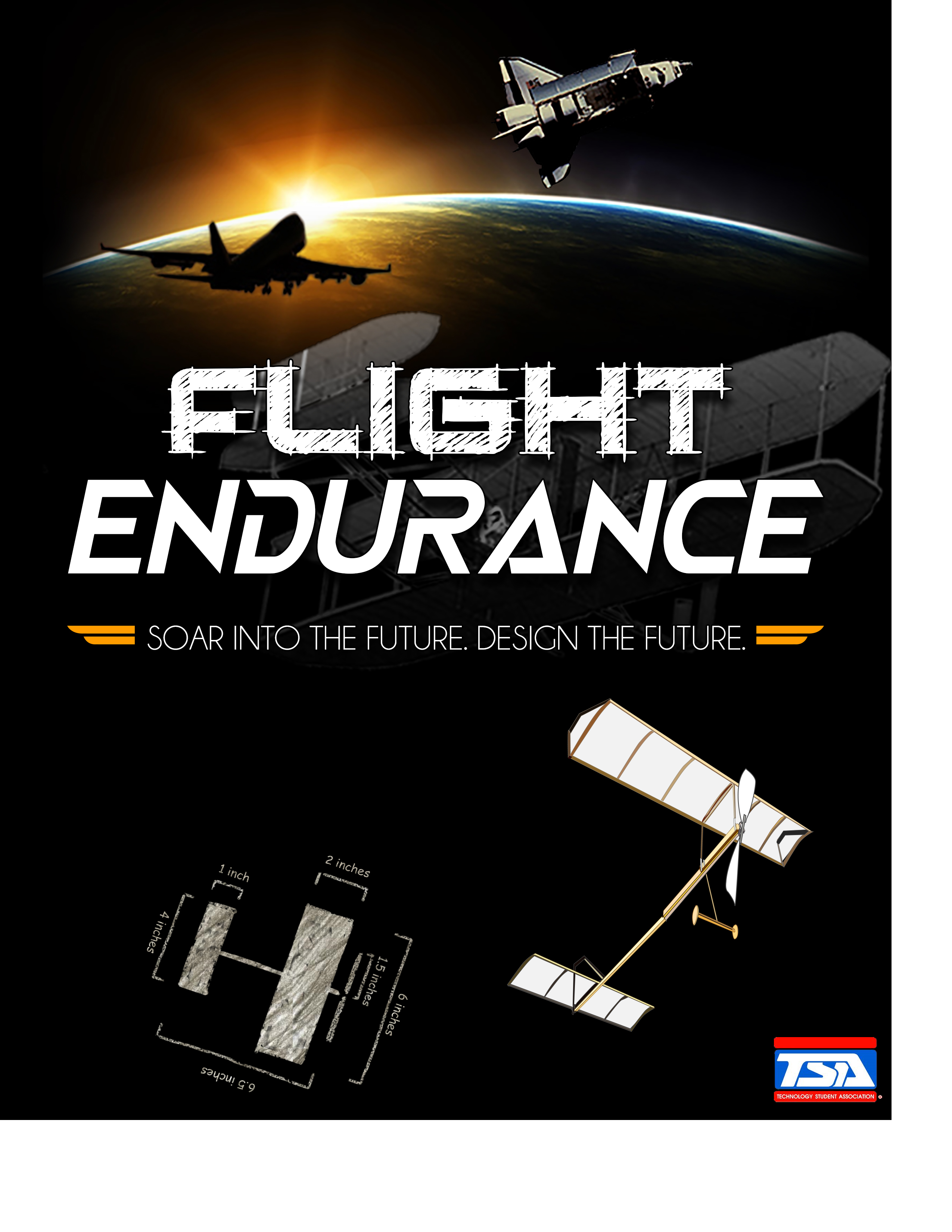 2014 TSA Promotional Graphic by Ciara Conol at Coroflot.com