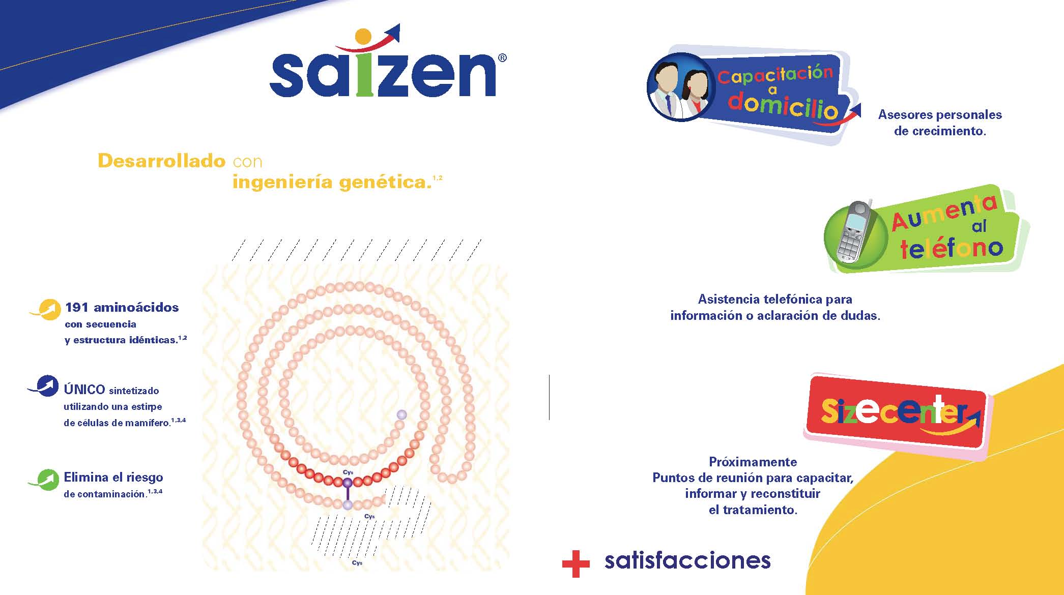 Saizen Merck by IMAGINE Graphic and Web Design at Coroflot.com