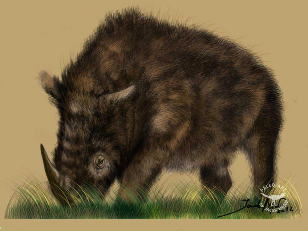 PREHISTORIC RHINO by Jacek Major at Coroflot.com