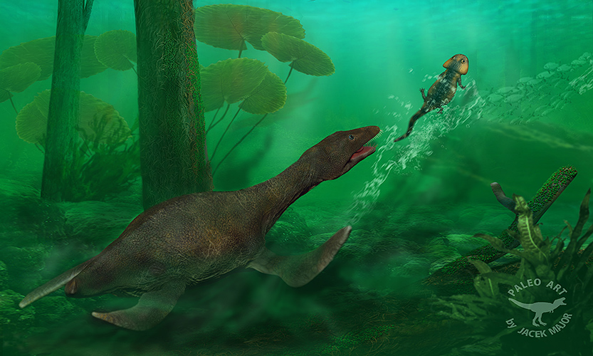 Leptocleidus superstes hunt for a young representative labiryntodont by ...