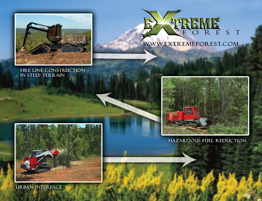 Extreme Forest Brochure by Leilani Durden at Coroflot.com