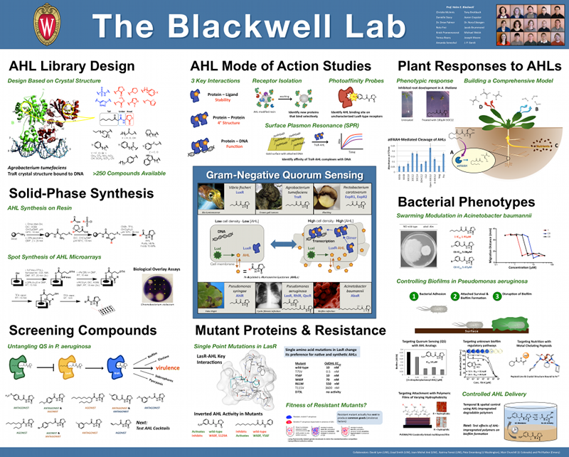 Scientific Research Posters (Illustrations) by Teresa Beary at Coroflot.com