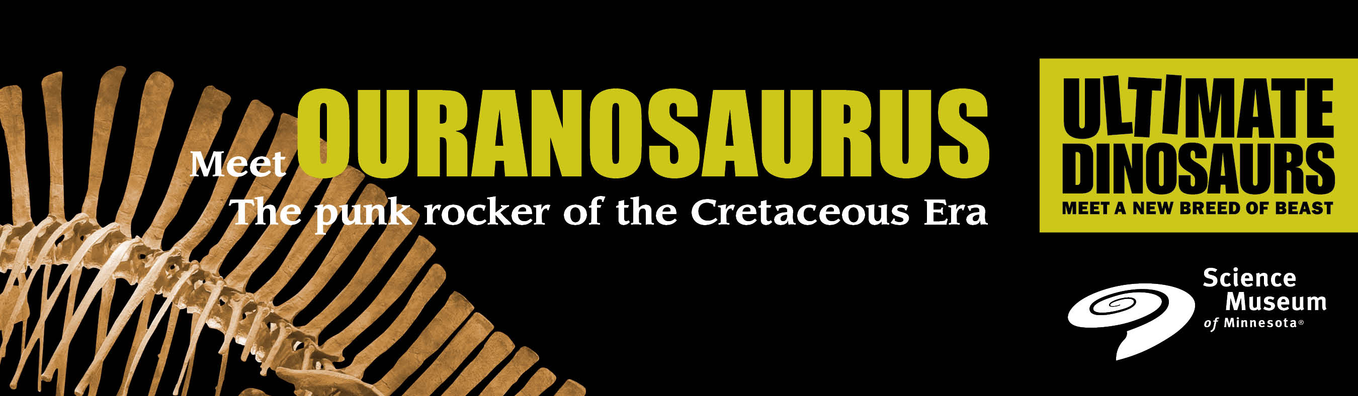 Ultimate Dinosaurs Advertisements by Nicole Suek at Coroflot.com