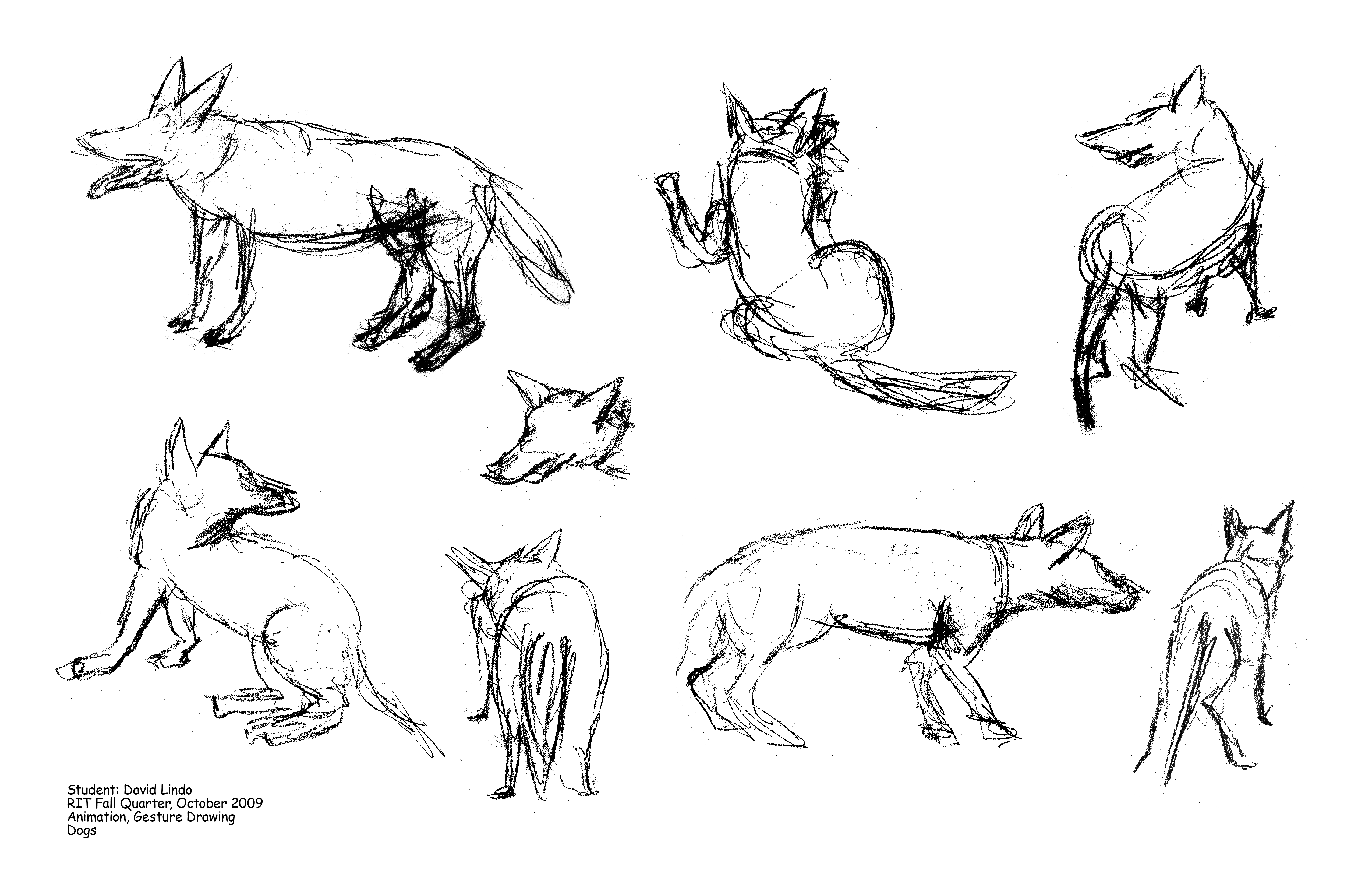 Gesture Drawing by David Lindo at Coroflot.com