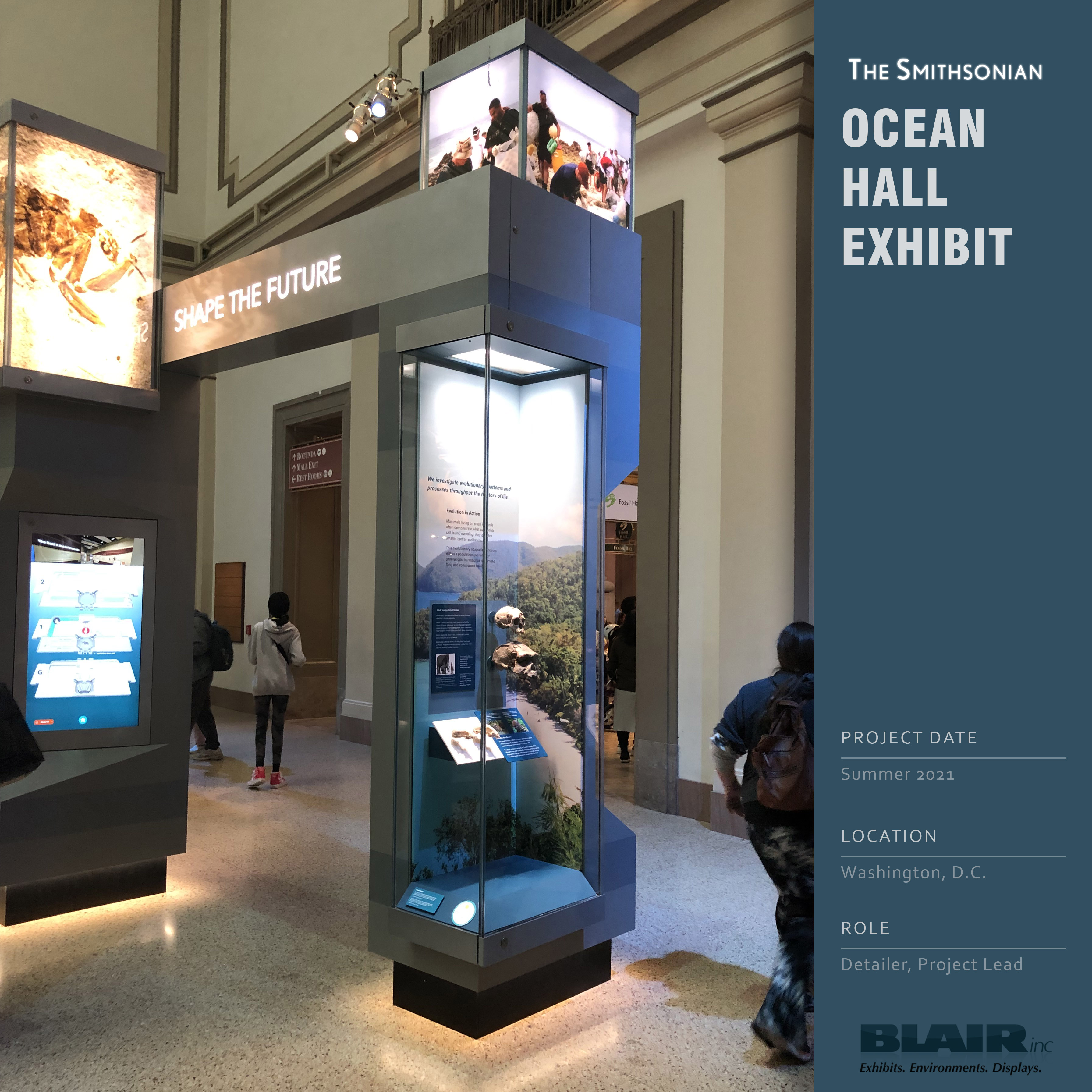 Smithsonian Ocean Hall by Shannon Barker at Coroflot.com