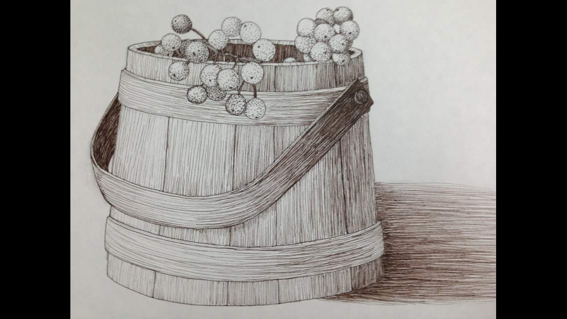 Introduction to Drawing - Direct Observational Drawing by Jessi Fife at ...