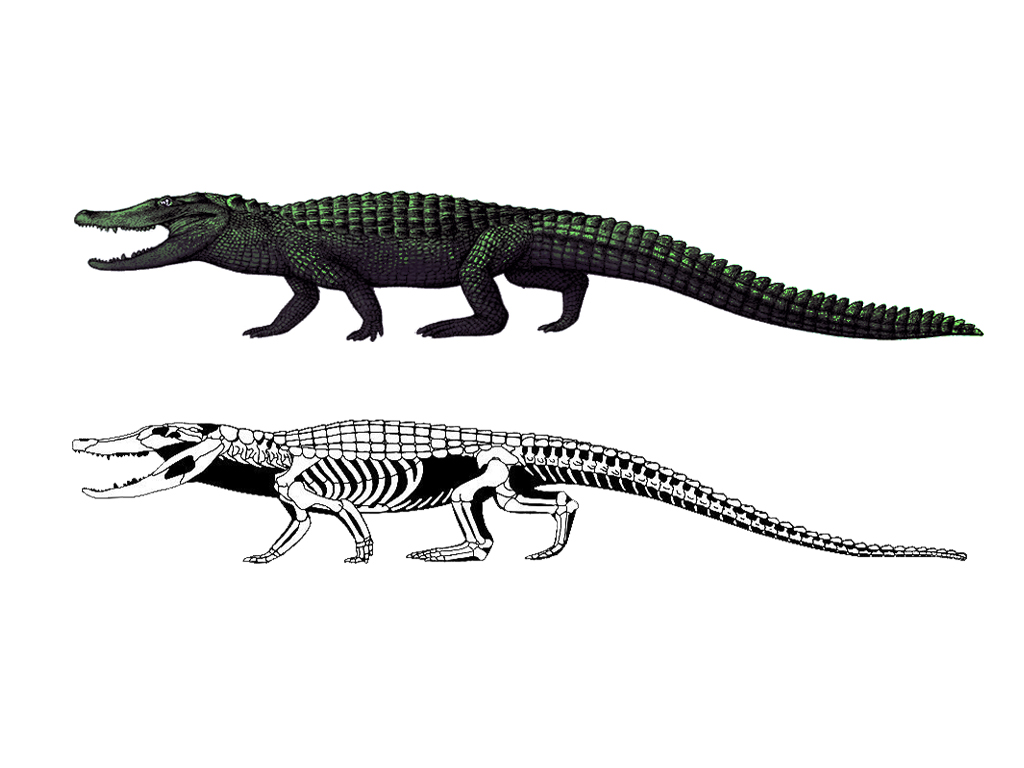 Dino Discovery - Educational Game for Manchester Museum by Josh Leach ...