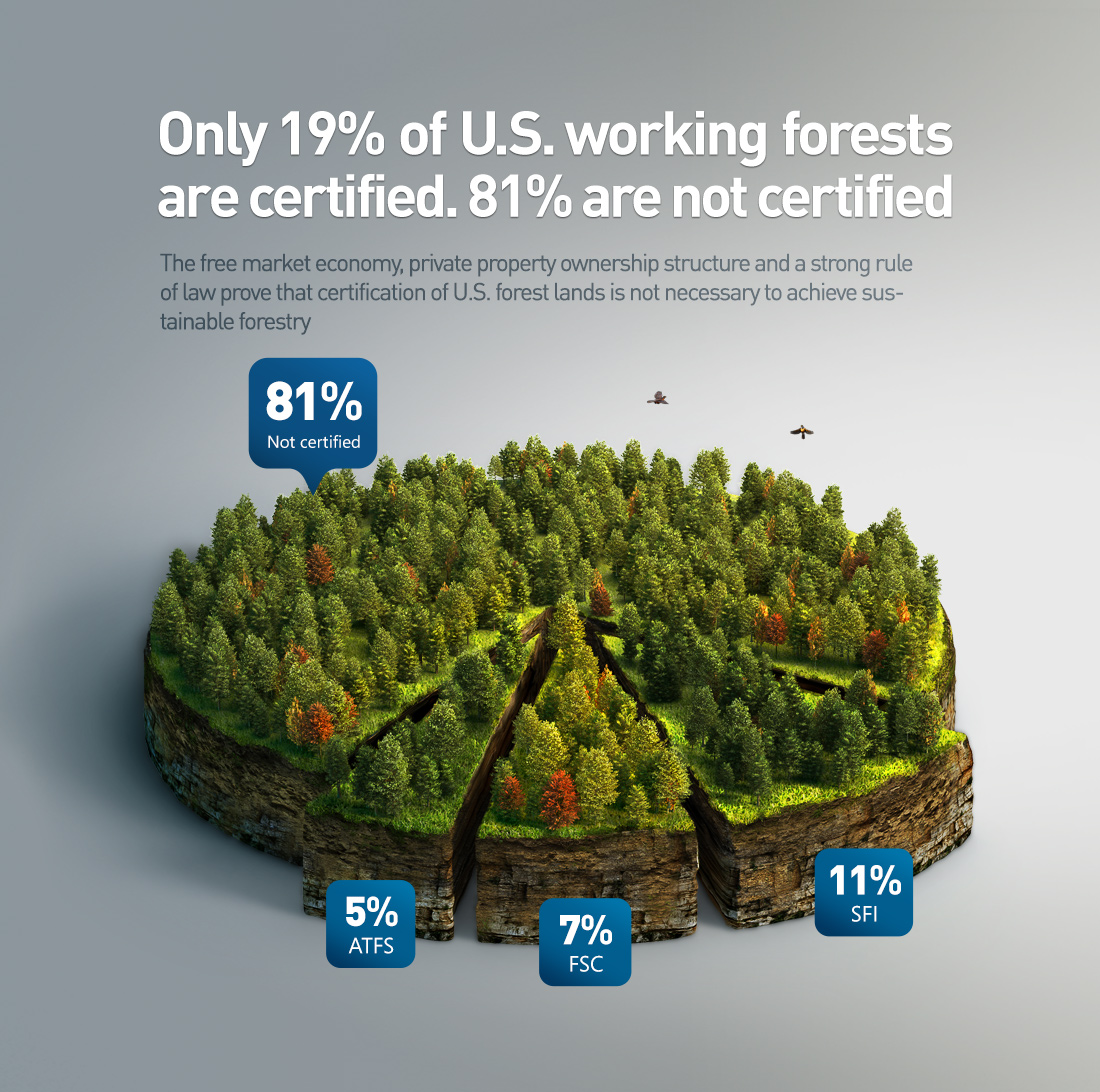 Forest infographics by Anton Egorov at Coroflot.com