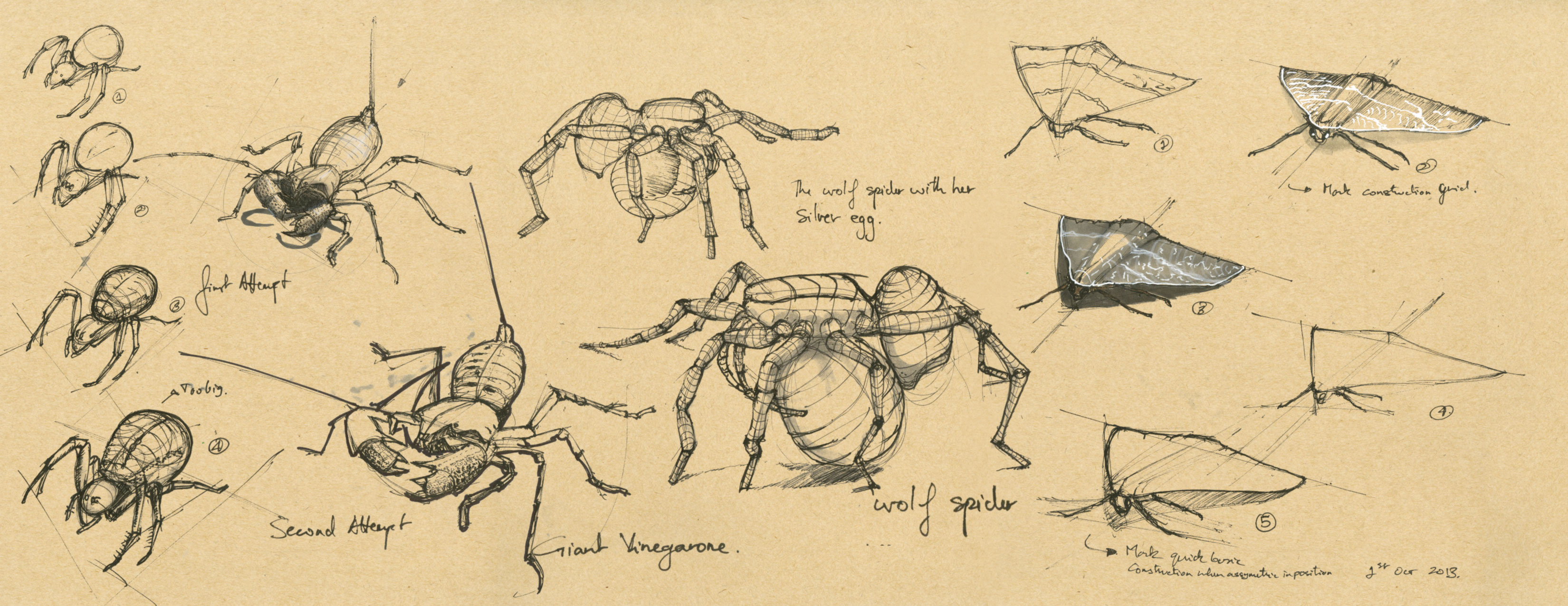 Dynamic Sketching with Peter Han by Nishit Kamath at Coroflot.com