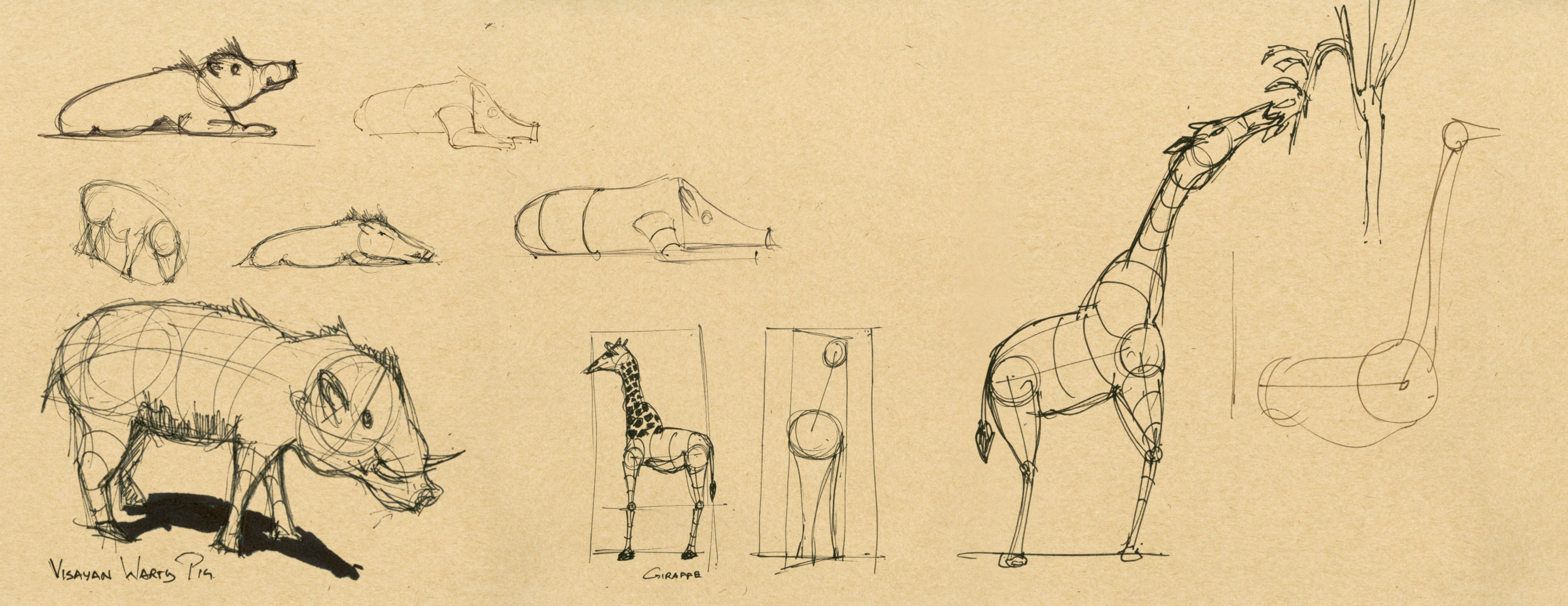 Dynamic Sketching with Peter Han by Nishit Kamath at Coroflot.com