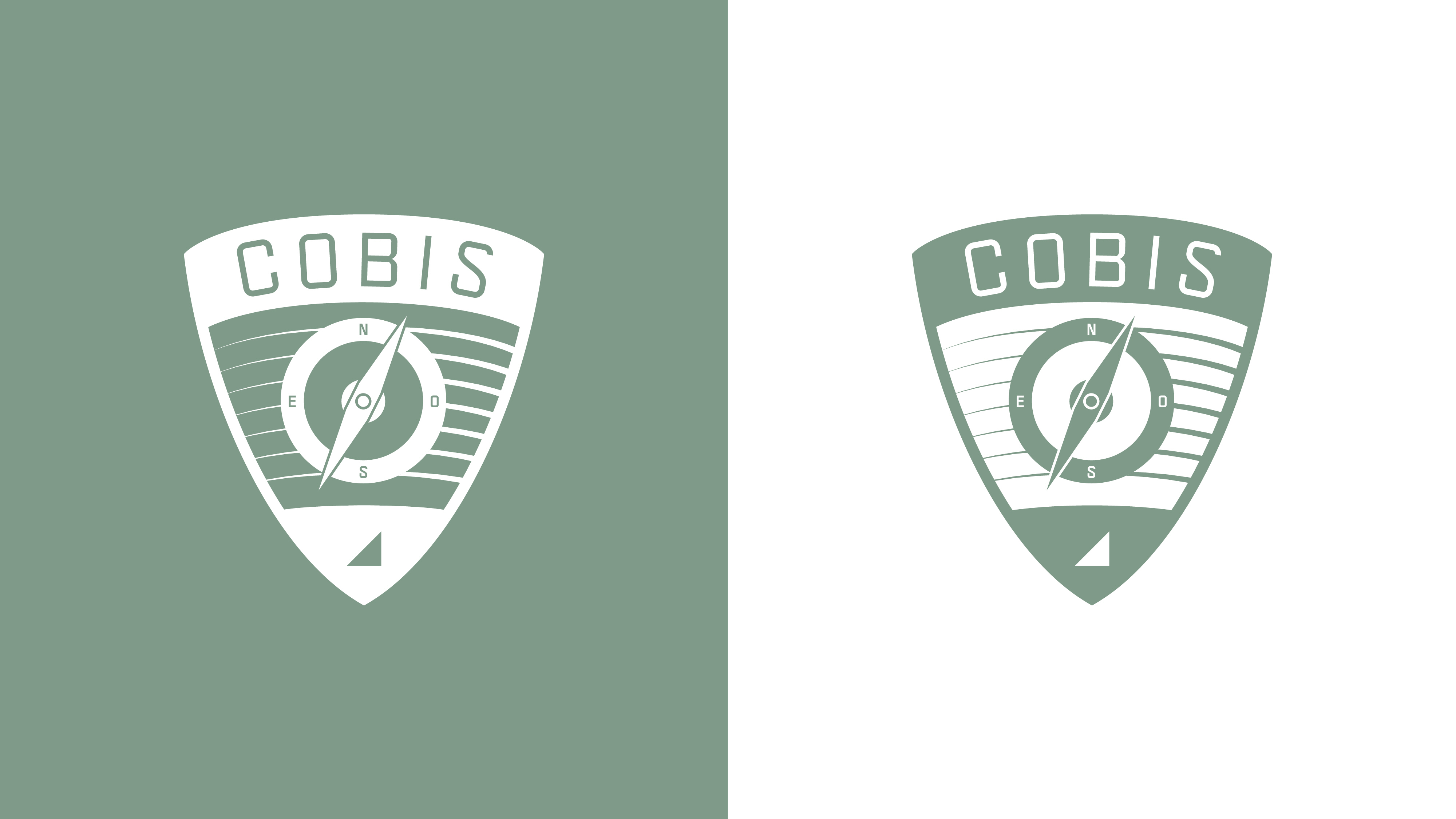 Cobis - Logo by Rui Moura at Coroflot.com