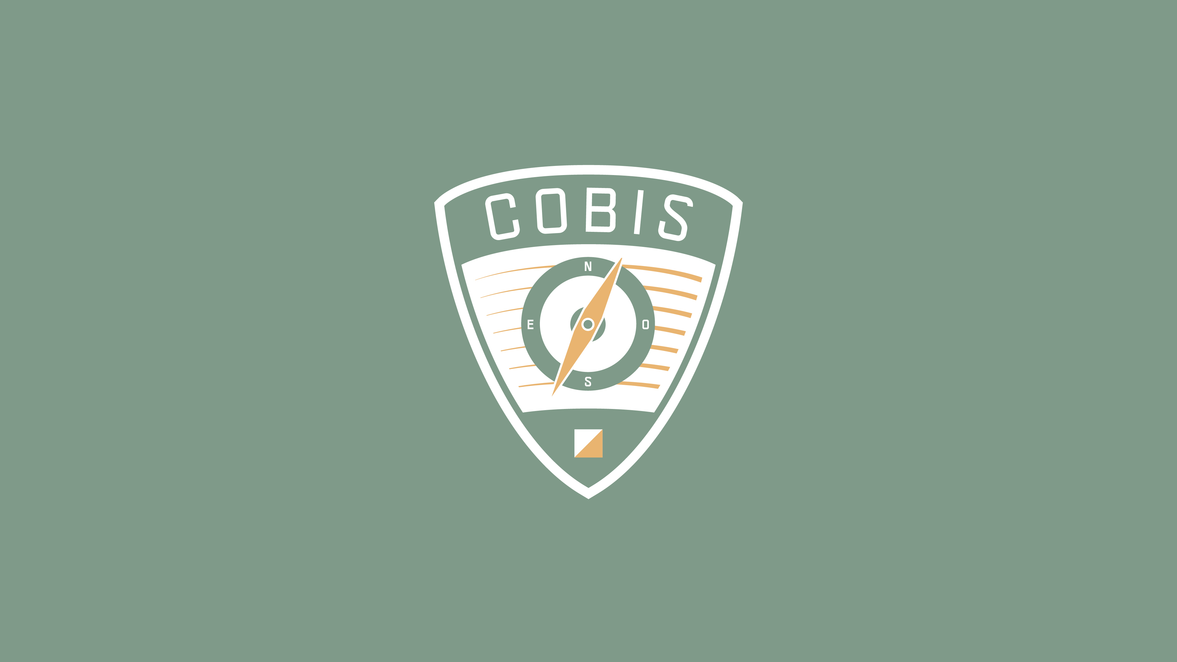 Cobis - Logo by Rui Moura at Coroflot.com