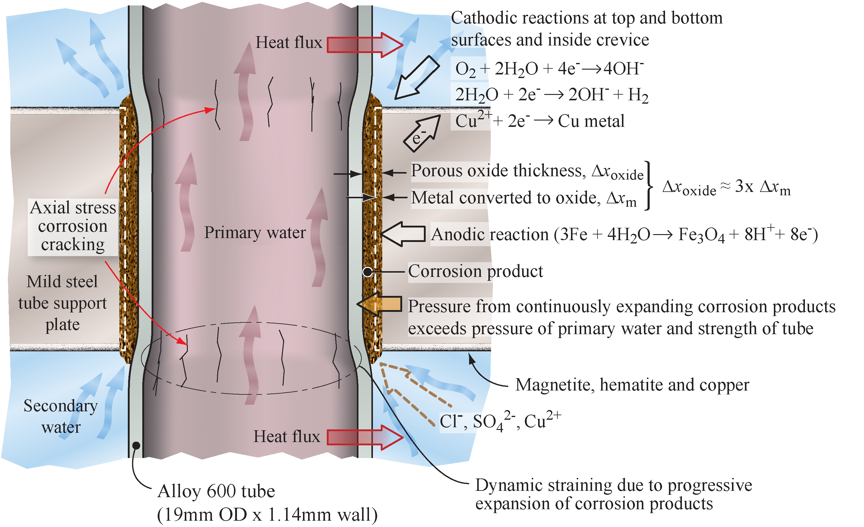 Scientific & Technical Illustrations by John Ilg at Coroflot.com