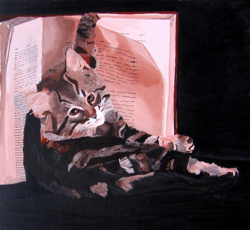 Advanced Placement Art Portfolio by Shannon Richards at Coroflot.com