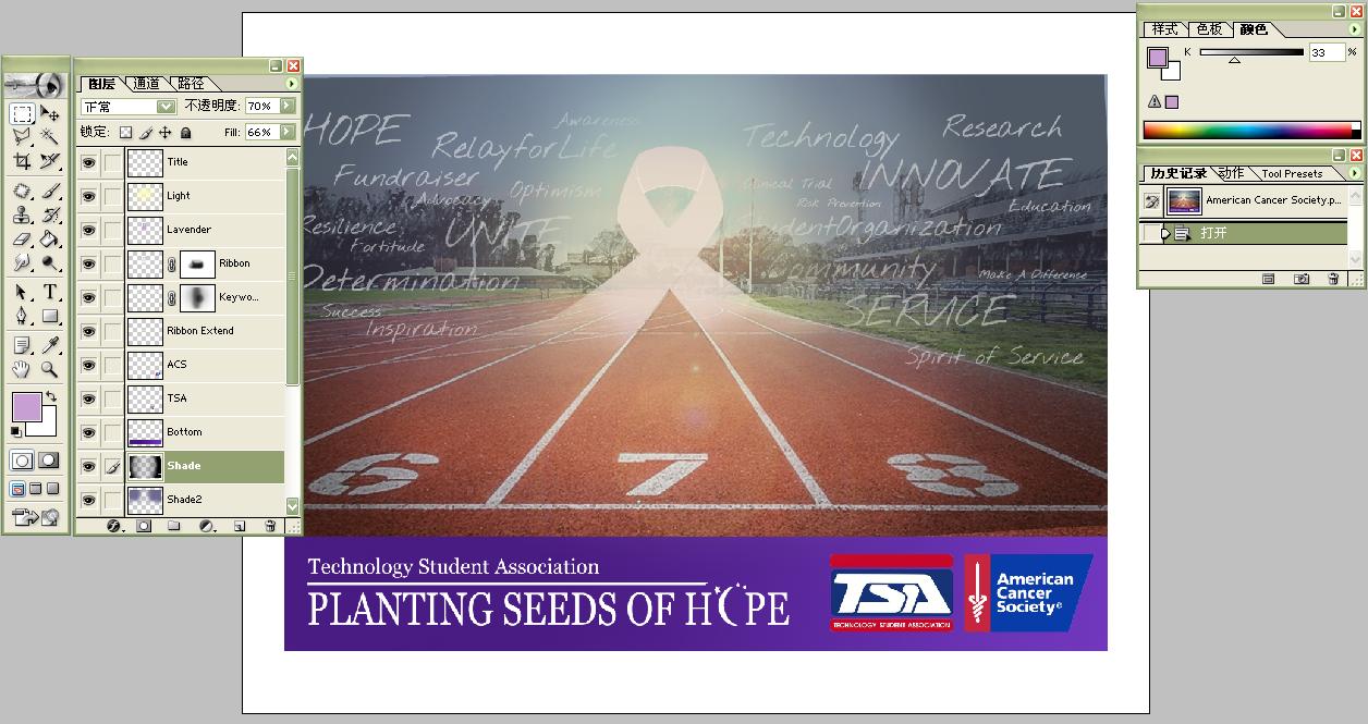 2015 TSA Promotional Graphics Entry by Steven Ye at Coroflot.com