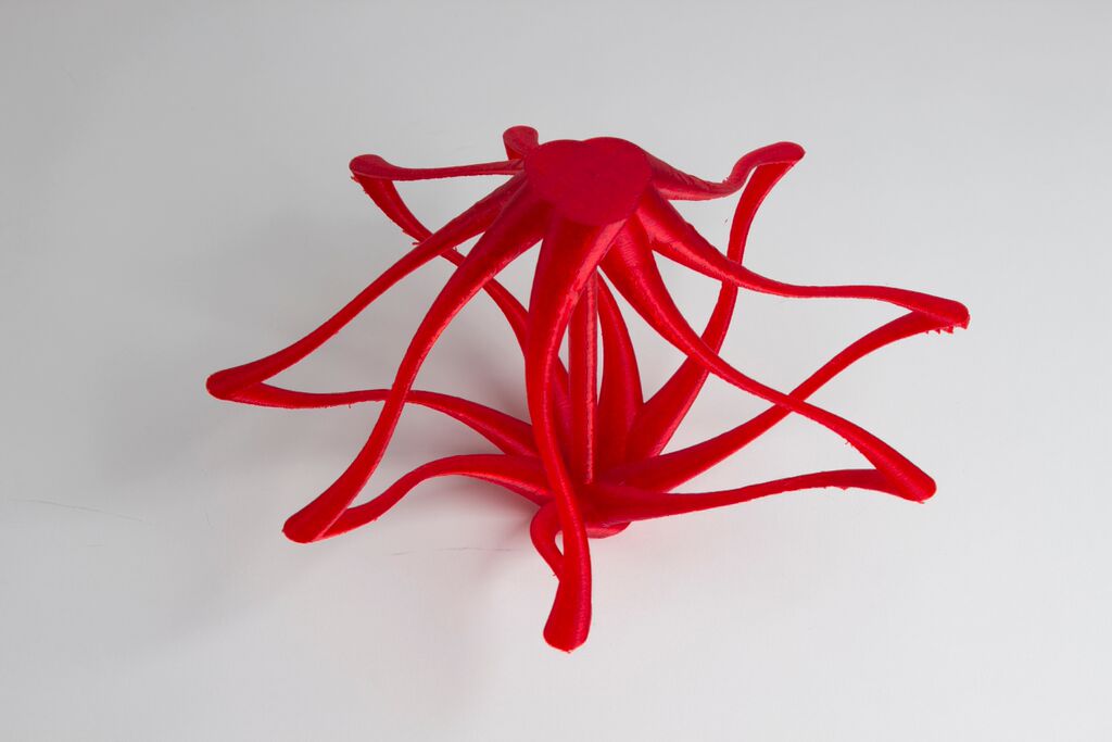3D Printed Organic Form by Nicole McNeal at Coroflot.com