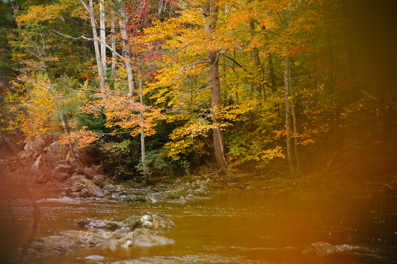 Sample of Nature Photography by Krystal Wares at Coroflot.com