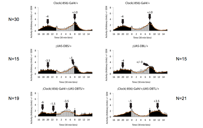 Design of fruit fly behavior graphs by Amelia Bennett at Coroflot.com