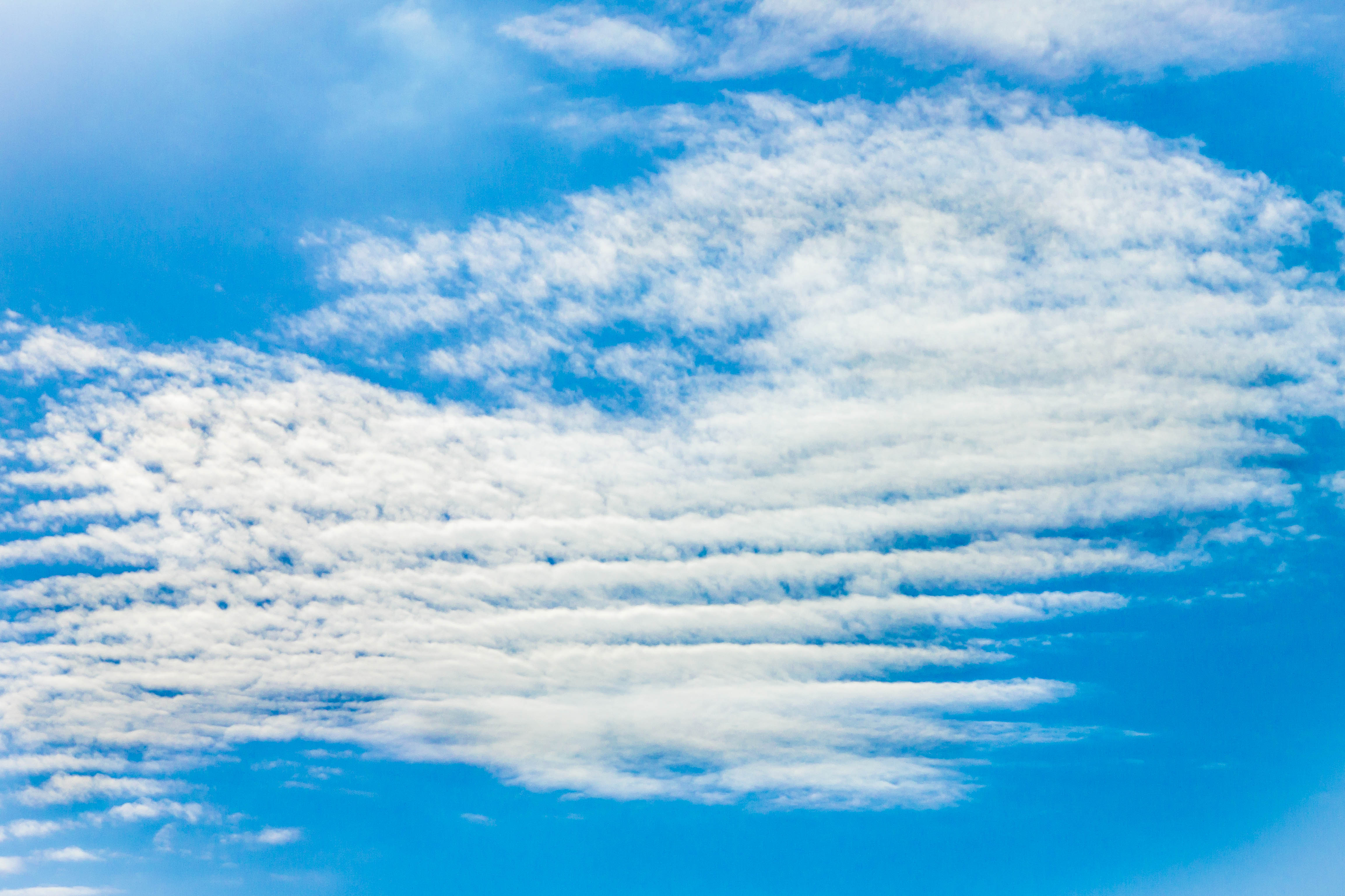 Warm Winter Day by Brian Henry at Coroflot.com