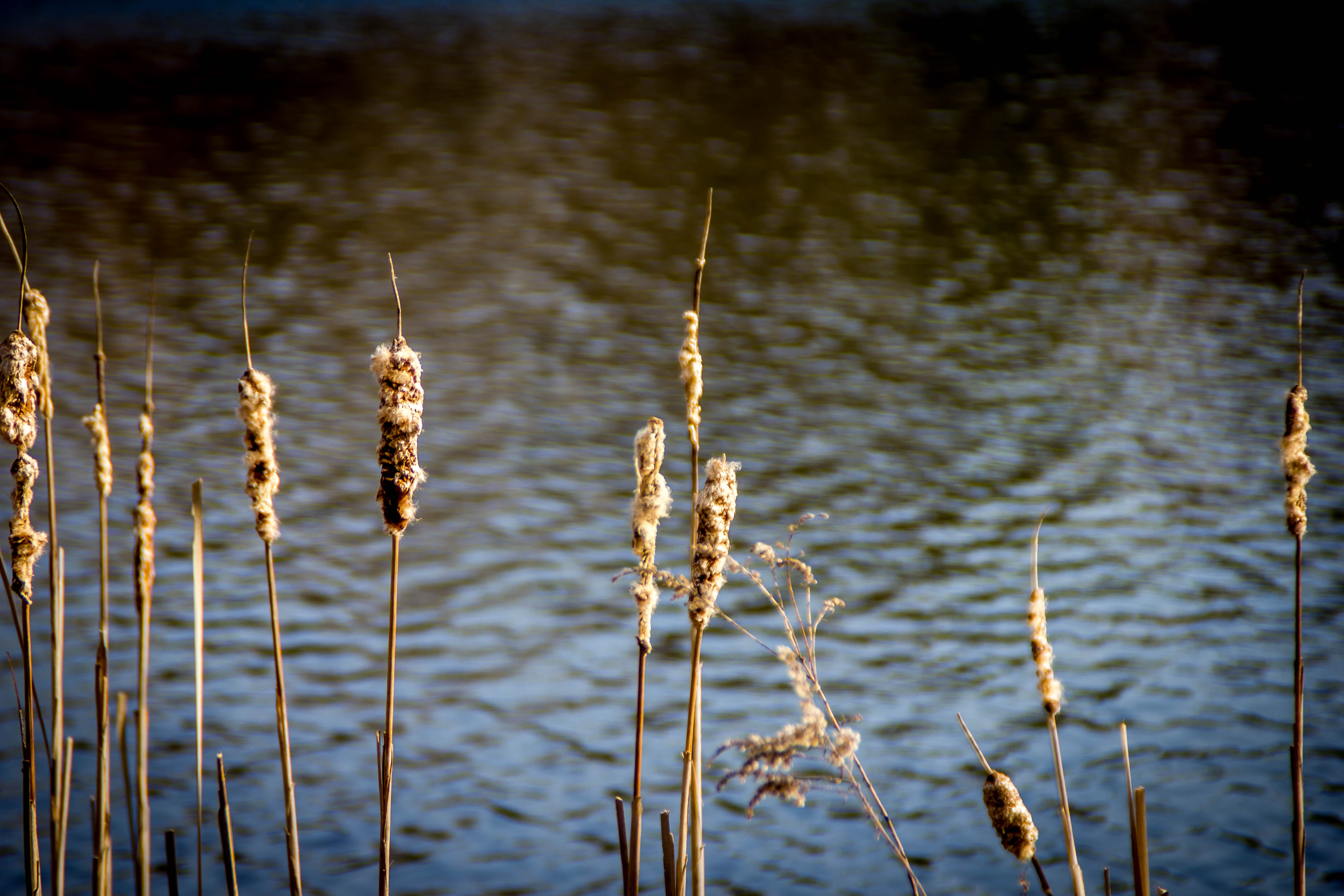 Warm Winter Day by Brian Henry at Coroflot.com