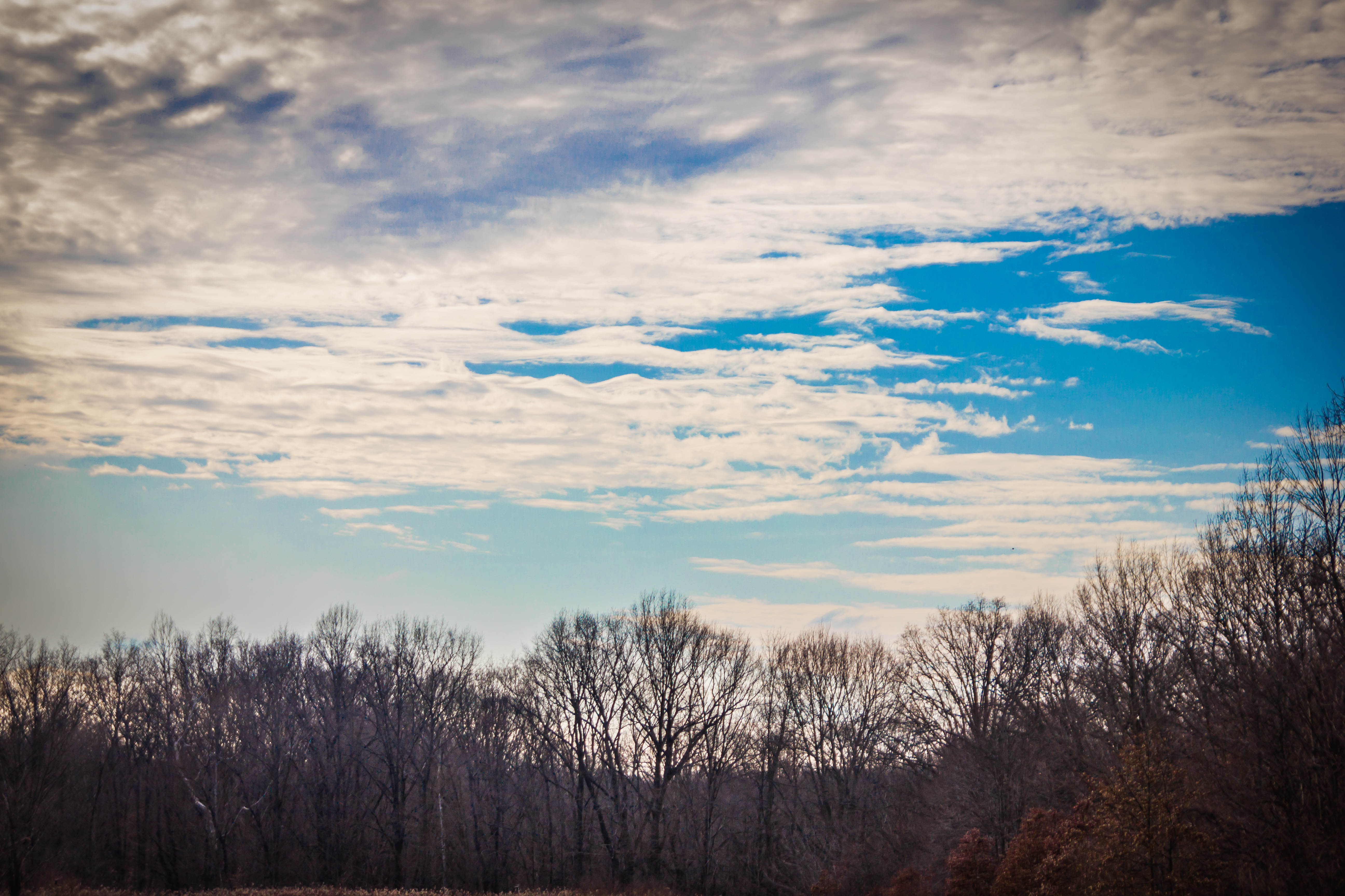 Warm Winter Day by Brian Henry at Coroflot.com