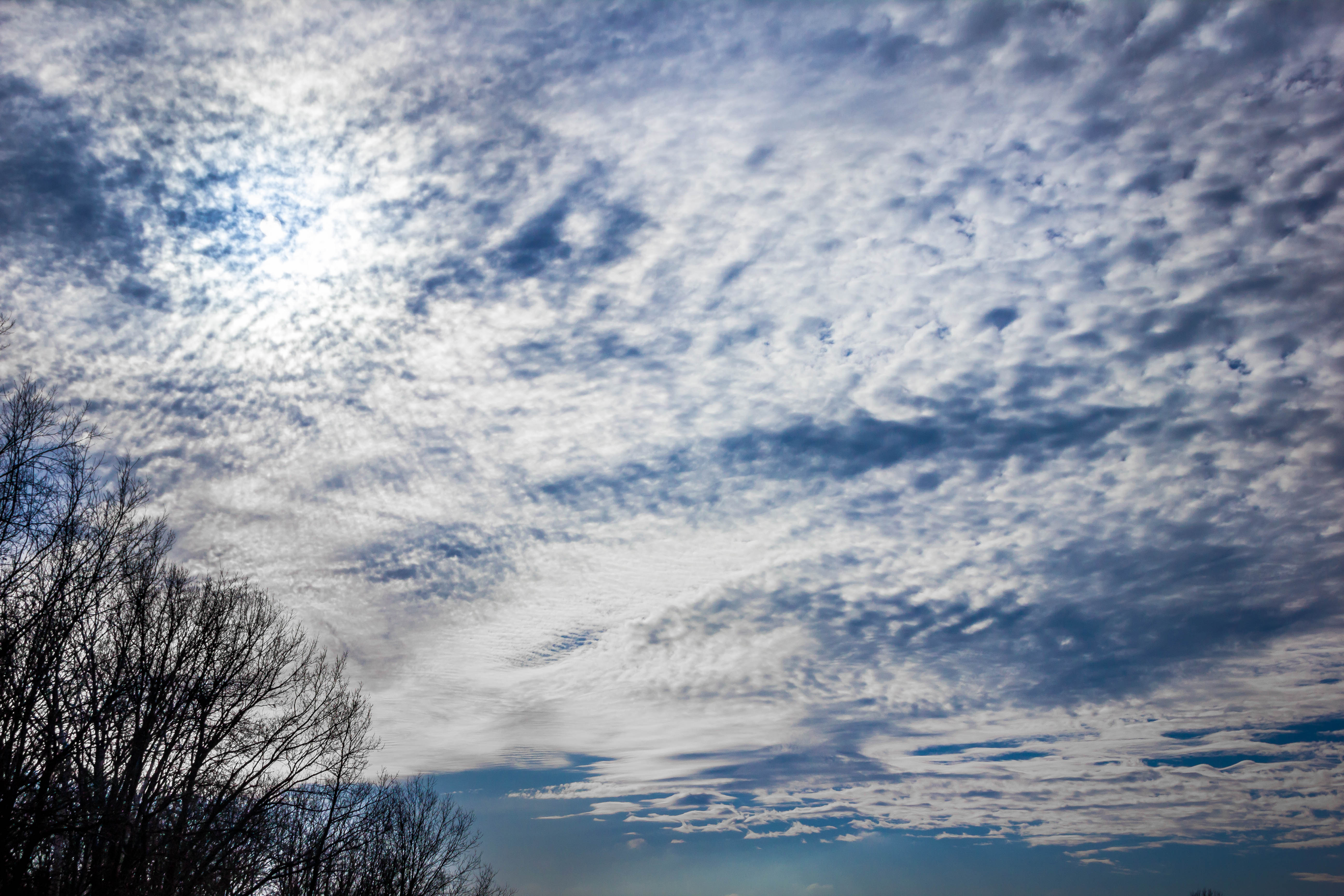 Warm Winter Day by Brian Henry at Coroflot.com