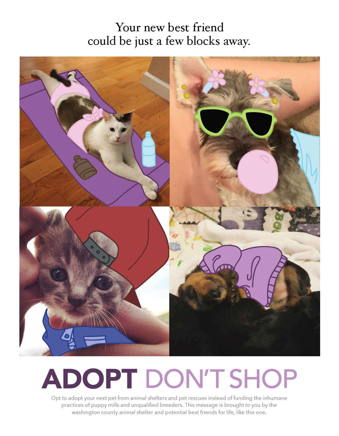 Single Page Magazine Ads by Taylor Campbell at Coroflot.com