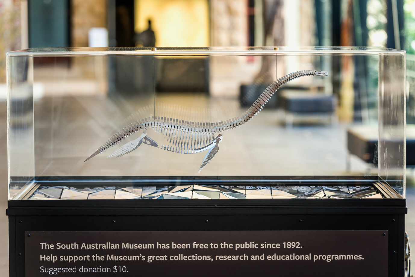South Australian Museum donation box by Davide Spinoni at Coroflot.com