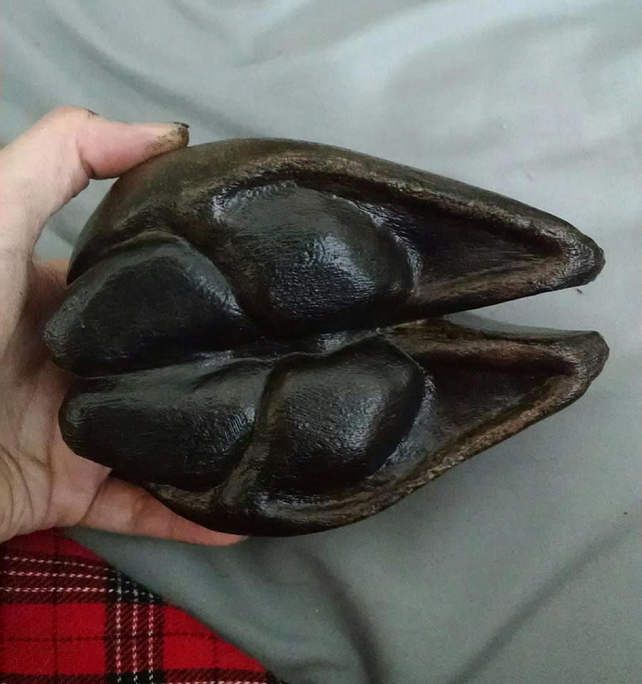 Satyr Hooves 1.0 by Paige Cambern at Coroflot.com