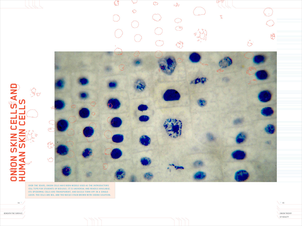 Typography by Soniya Rajwani at Coroflot.com