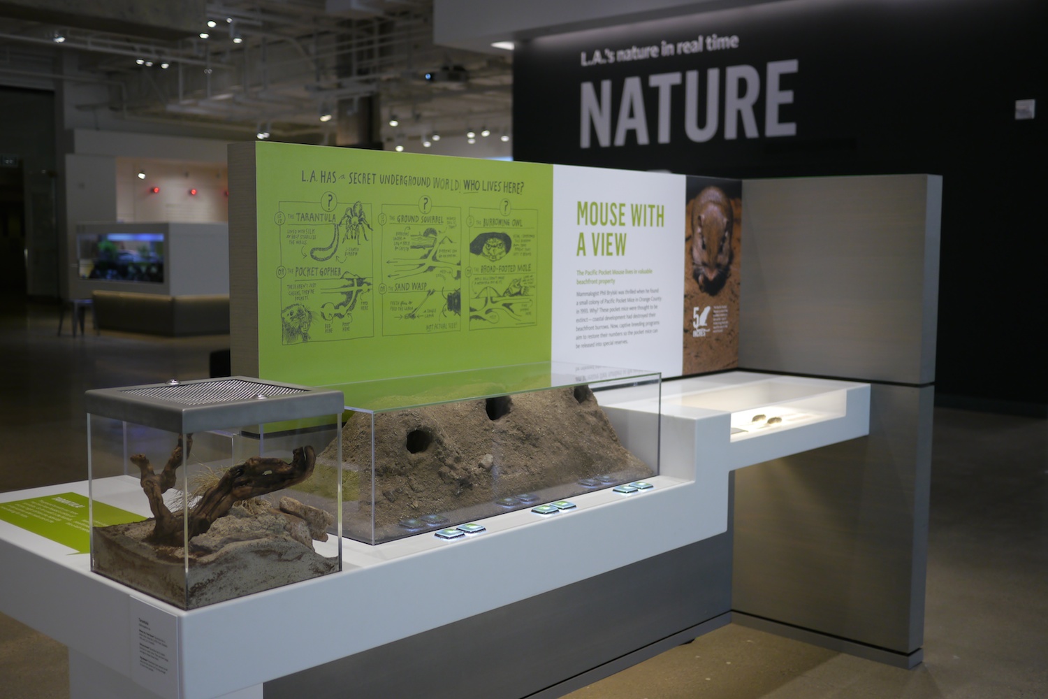 LA NHM - Nature Lab by Robert Creighton at Coroflot.com