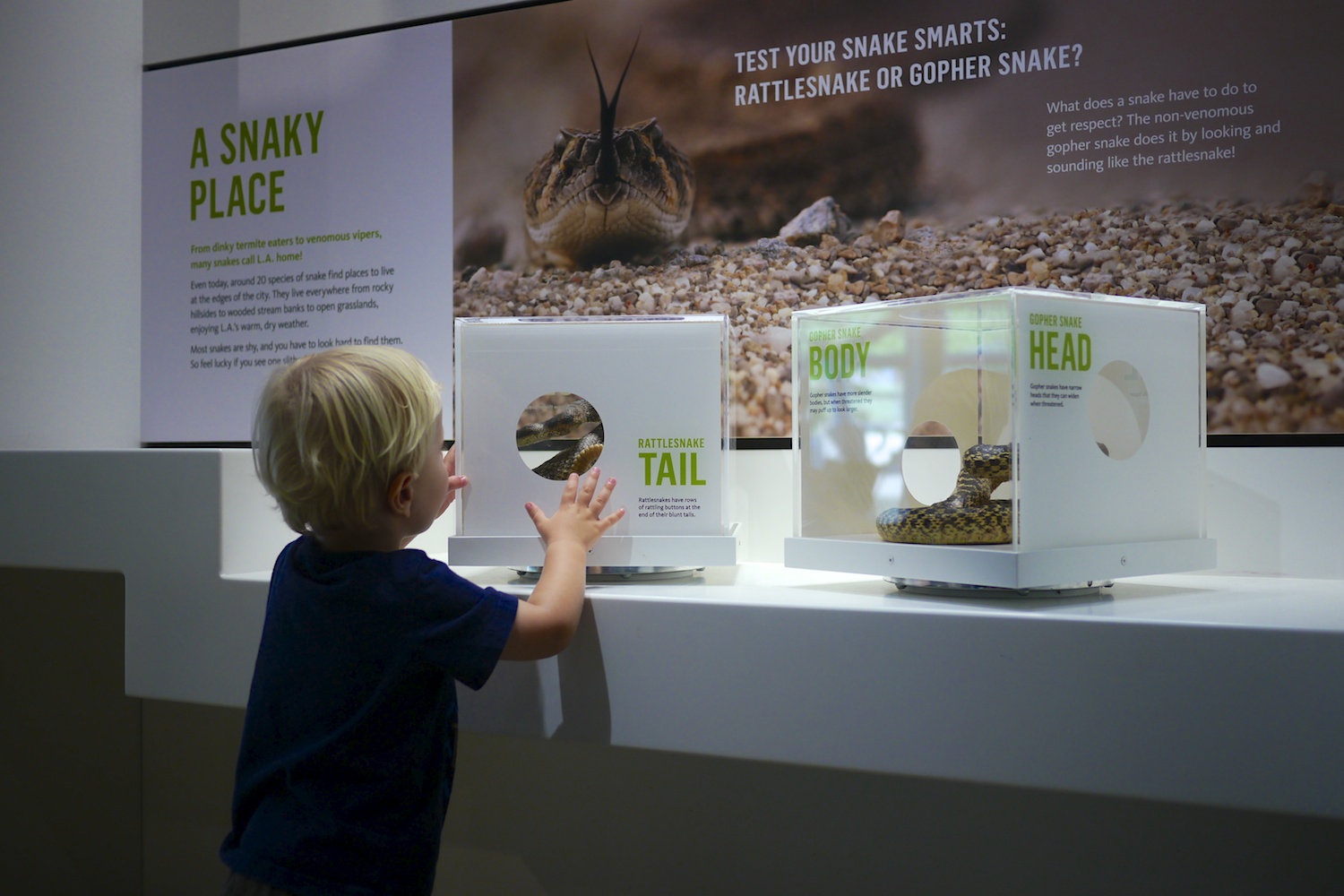 LA NHM - Nature Lab by Robert Creighton at Coroflot.com