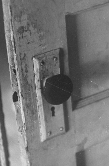 Rachel Spillane, Photography, Marketing, Advertising, Social Media ...