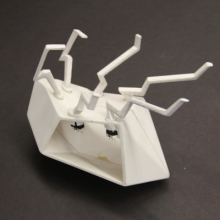 Lydia Hong, Product Designer in West Windsor Township, NJ